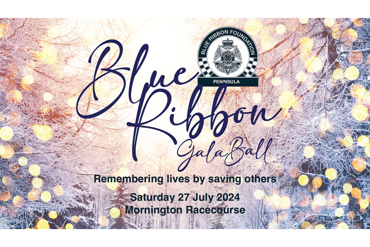 Blue Ribbon Ball - 1377 3MP